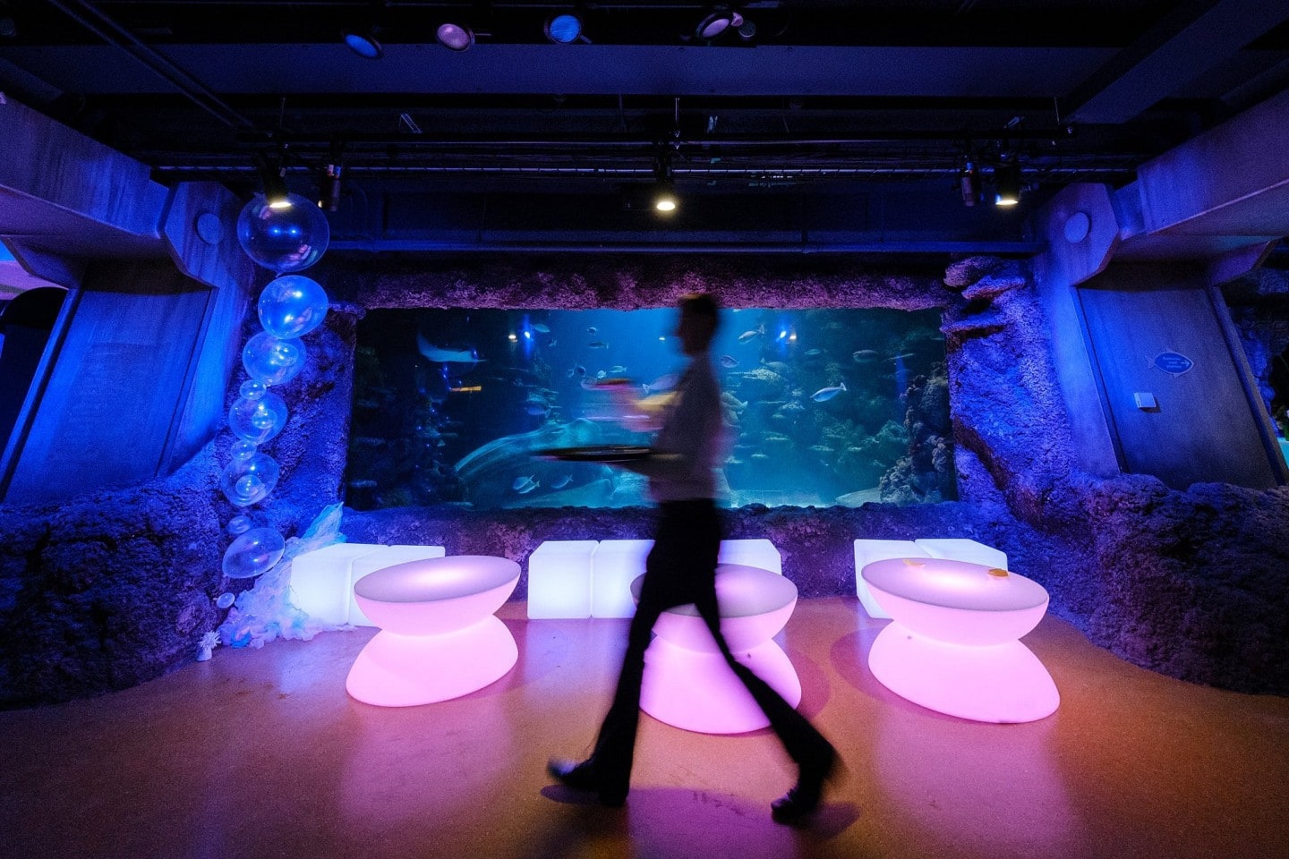 A Corporate Event at Sea Life London | Owen Billcliffe Photography