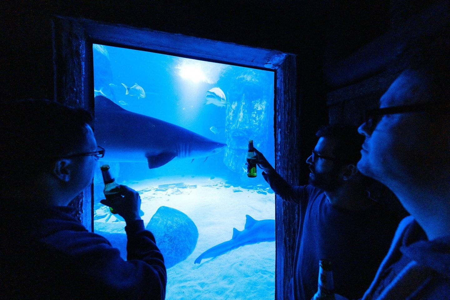 A Corporate Event at Sea Life London | Owen Billcliffe Photography